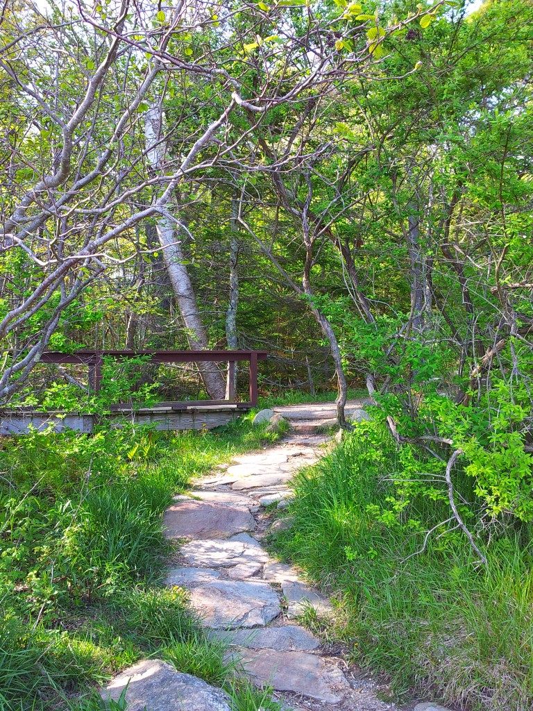 Val Walker: Gift of Comforting – The Stories Between